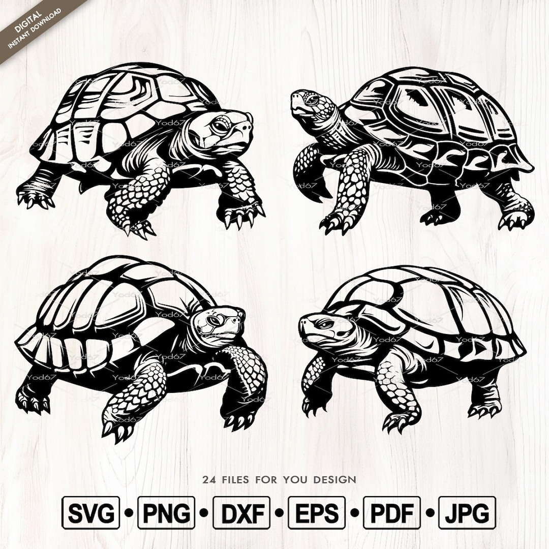 Land Turtle SVG, Turtle Vector Clipart Design, Land Turtle Png, Svg ...