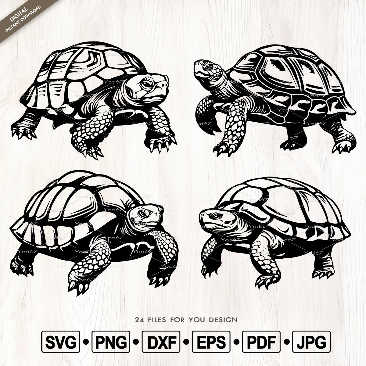 Land Turtle SVG, Turtle Vector Clipart Design, Land Turtle Png, Svg ...