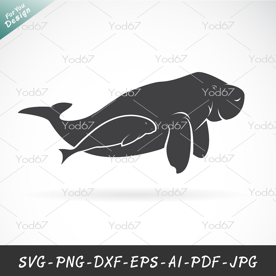 Manatee SVG, Manatee Vector Clipart Designs, Manatee Png, Svg Files for ...