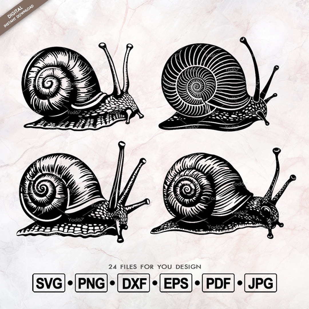 Snail SVG, Snail Vector Clipart Design Eps Png Dxf Pdf, Snail Cricut ...