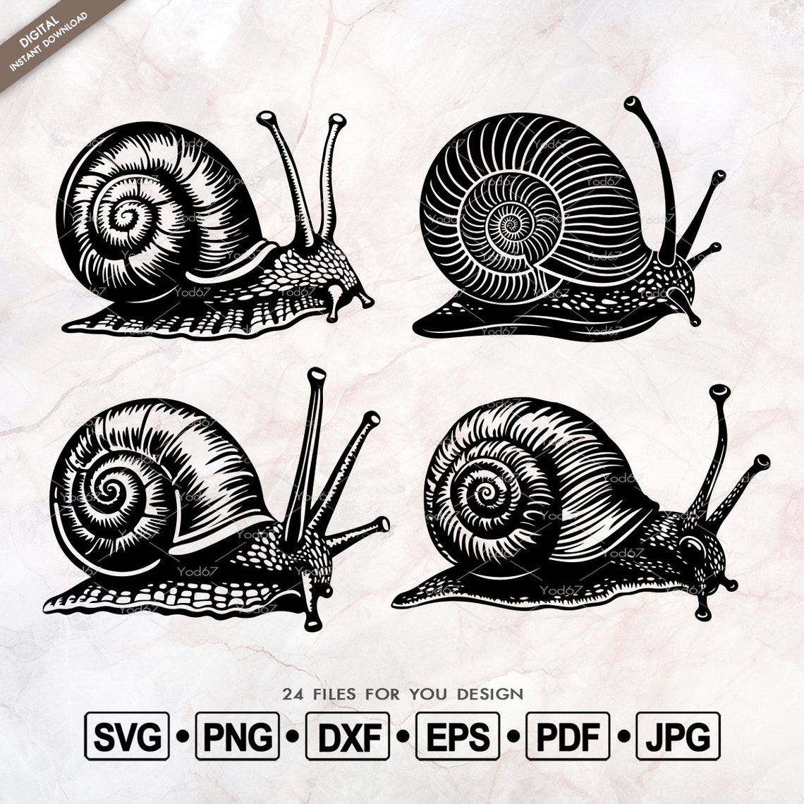 Snail SVG, Snail Vector Clipart Design Eps Png Dxf Pdf, Snail Cricut ...