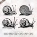 Snail SVG, Snail Vector Clipart Design Eps Png Dxf Pdf, Snail Cricut ...