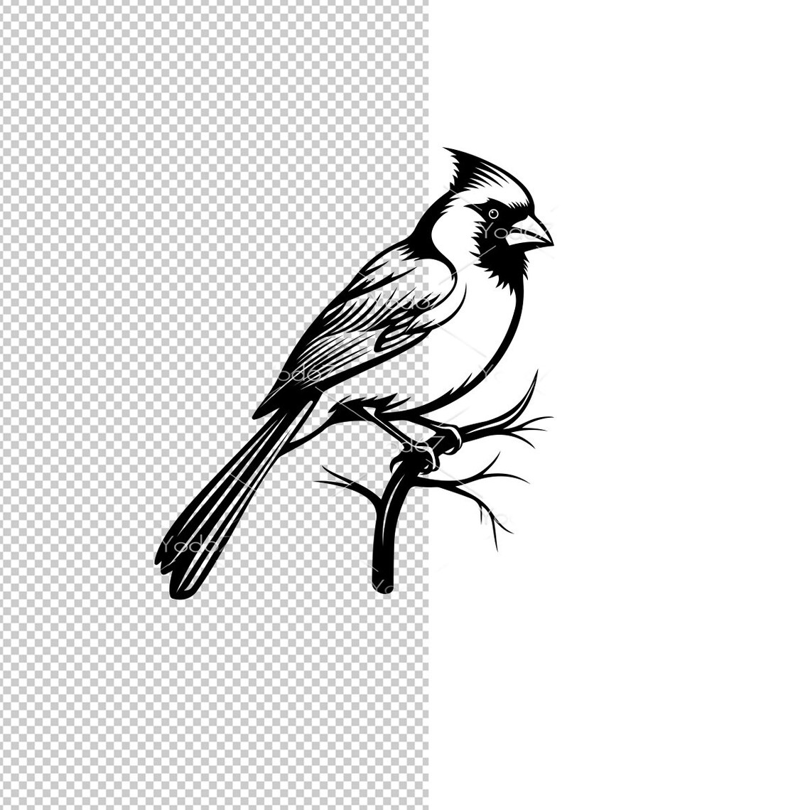 Northern Cardinal SVG, Cardinal Bird Design, Cvg Files for Cricut ...