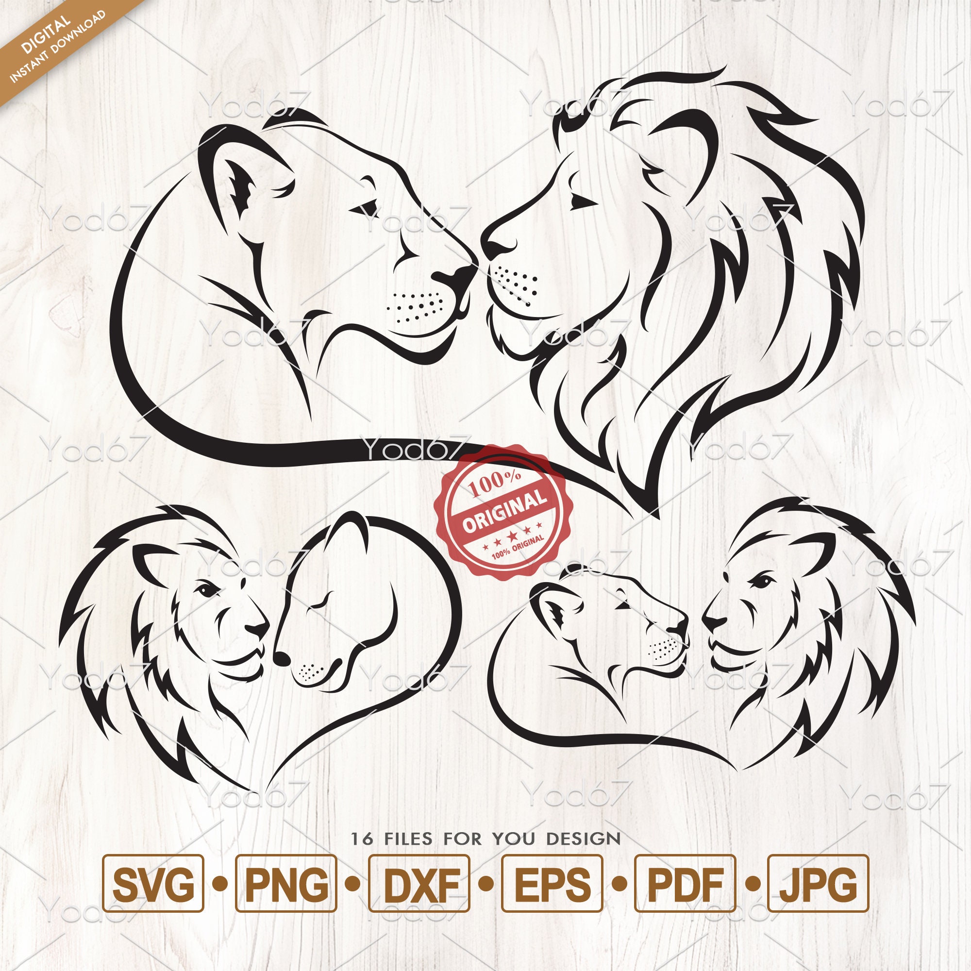 Female Lion Head Drawings