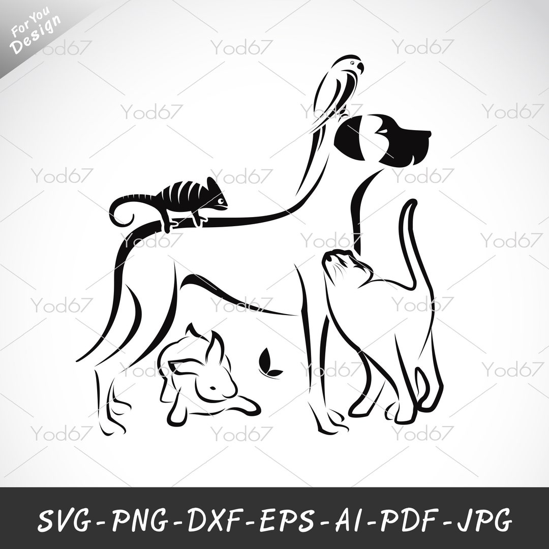 Group of Pets Png, Animals Svg, Dog, Cat Svg, Rabbit Png, Parrot Svg ...