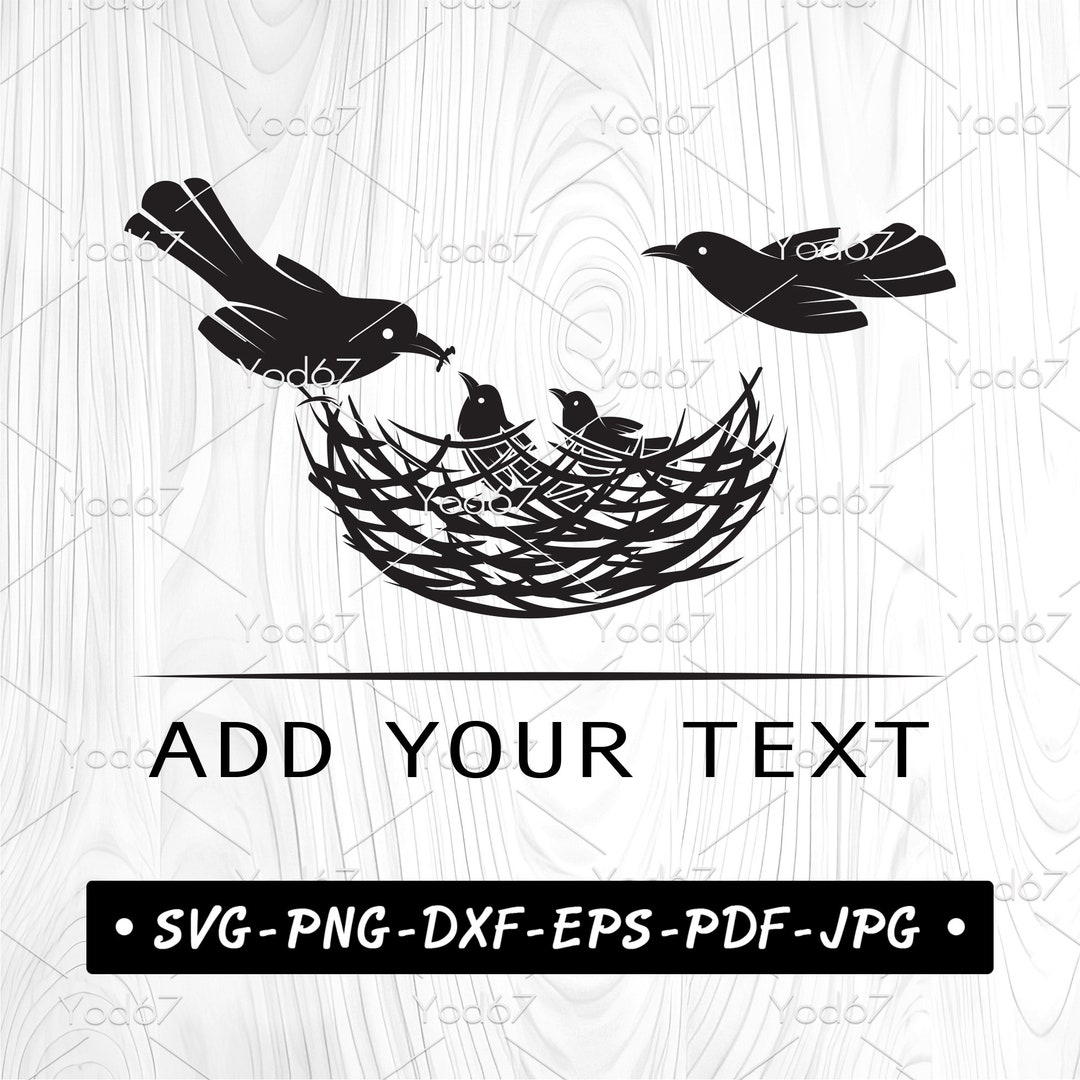 Bird Family SVG, Bird Family Png, Bird for Cricut, Birds Silhouette ...