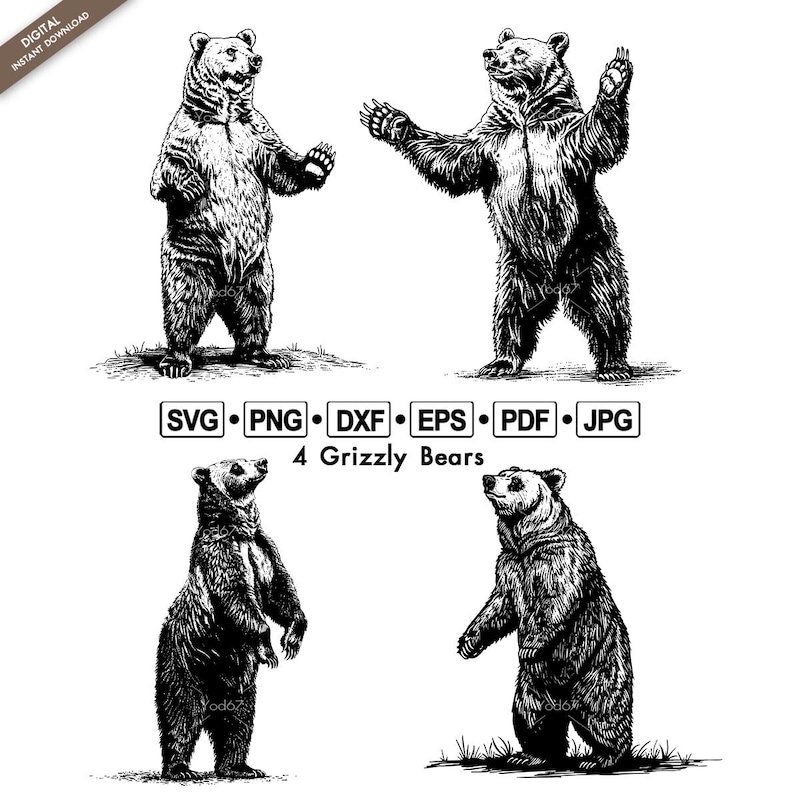 Standing Bears Clipart - Etsy