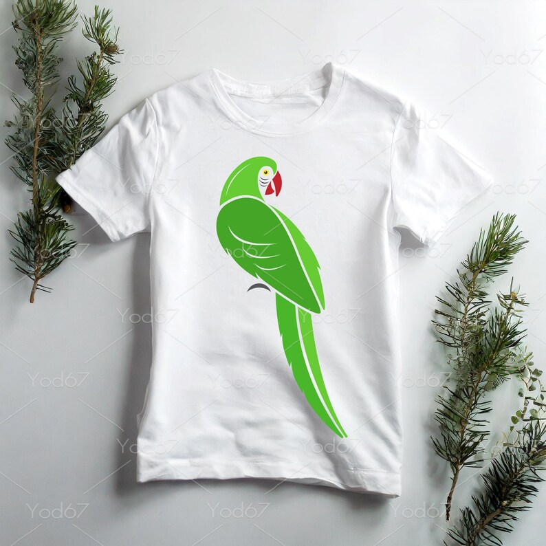 Parrot Svg File, Parrot Png, Parrot Svg for T-shirt Design, Parrot ...