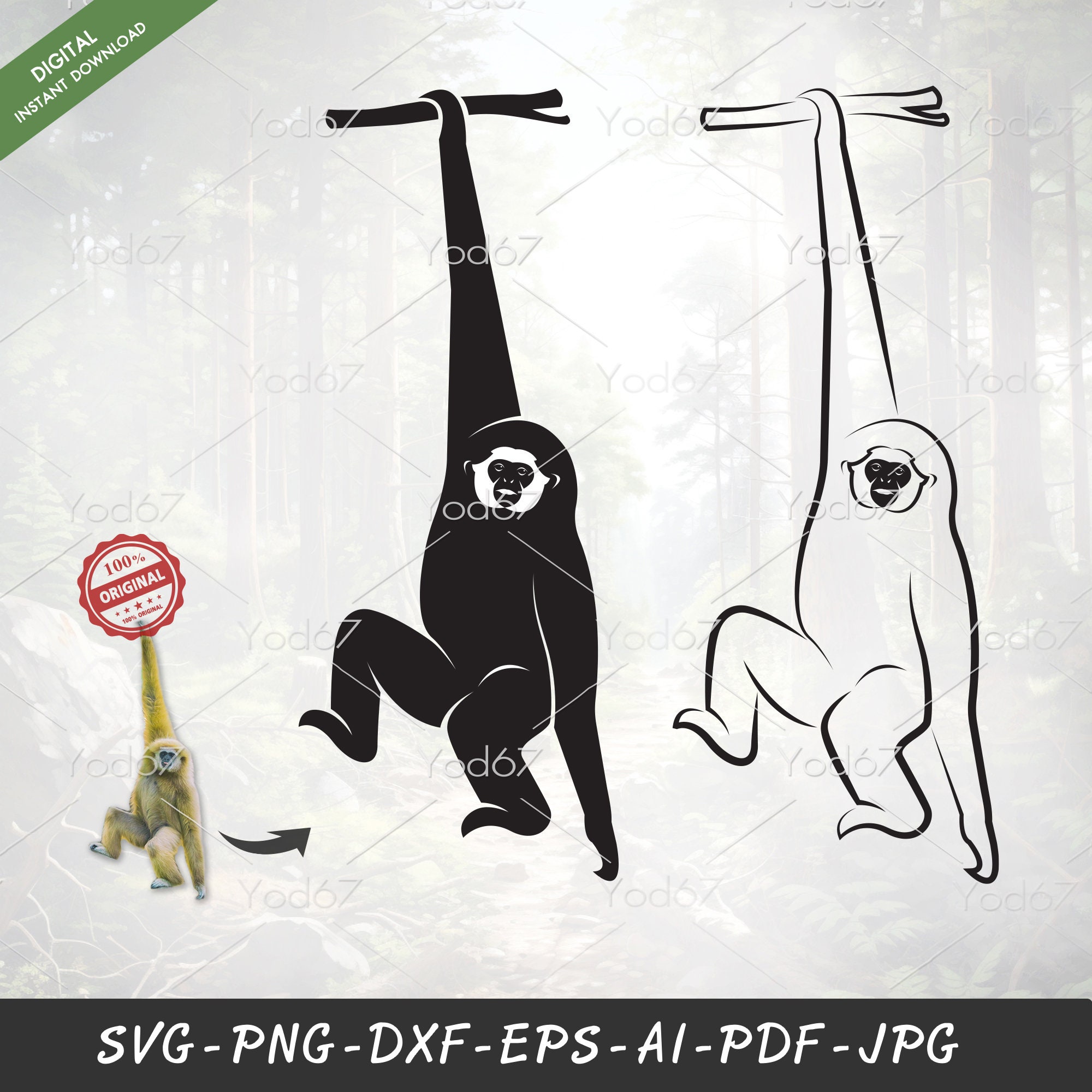 Gibbon SVG, Gibbon Png, Svg Files for Cricut, Gibbon Silhouette, Gibbon ...