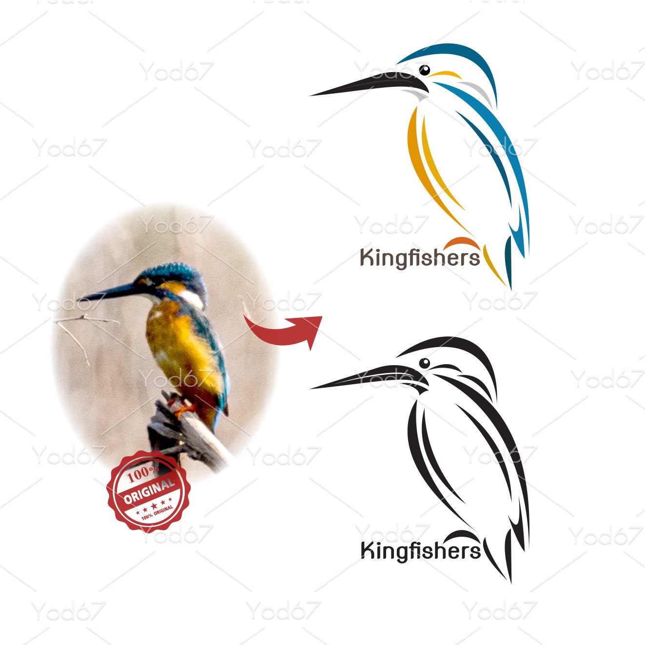 Kingfisher SVG, Kingfisher Png, Kingfisher for Cricut, Beautiful Bird ...