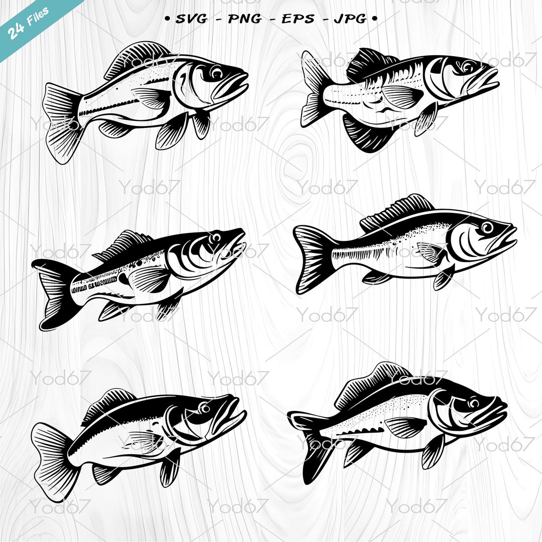 Bass Fish SVG, Bass Fish Png, Fishing Svg, Bass Fish for Cricut, Bass ...