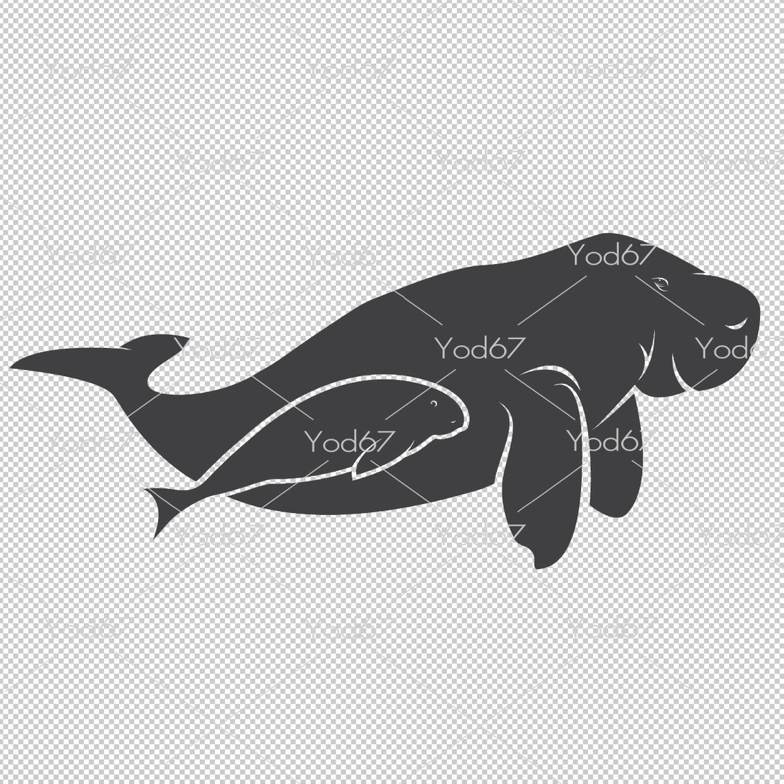 Manatee SVG, Manatee Vector Clipart Designs, Manatee Png, Svg Files for ...