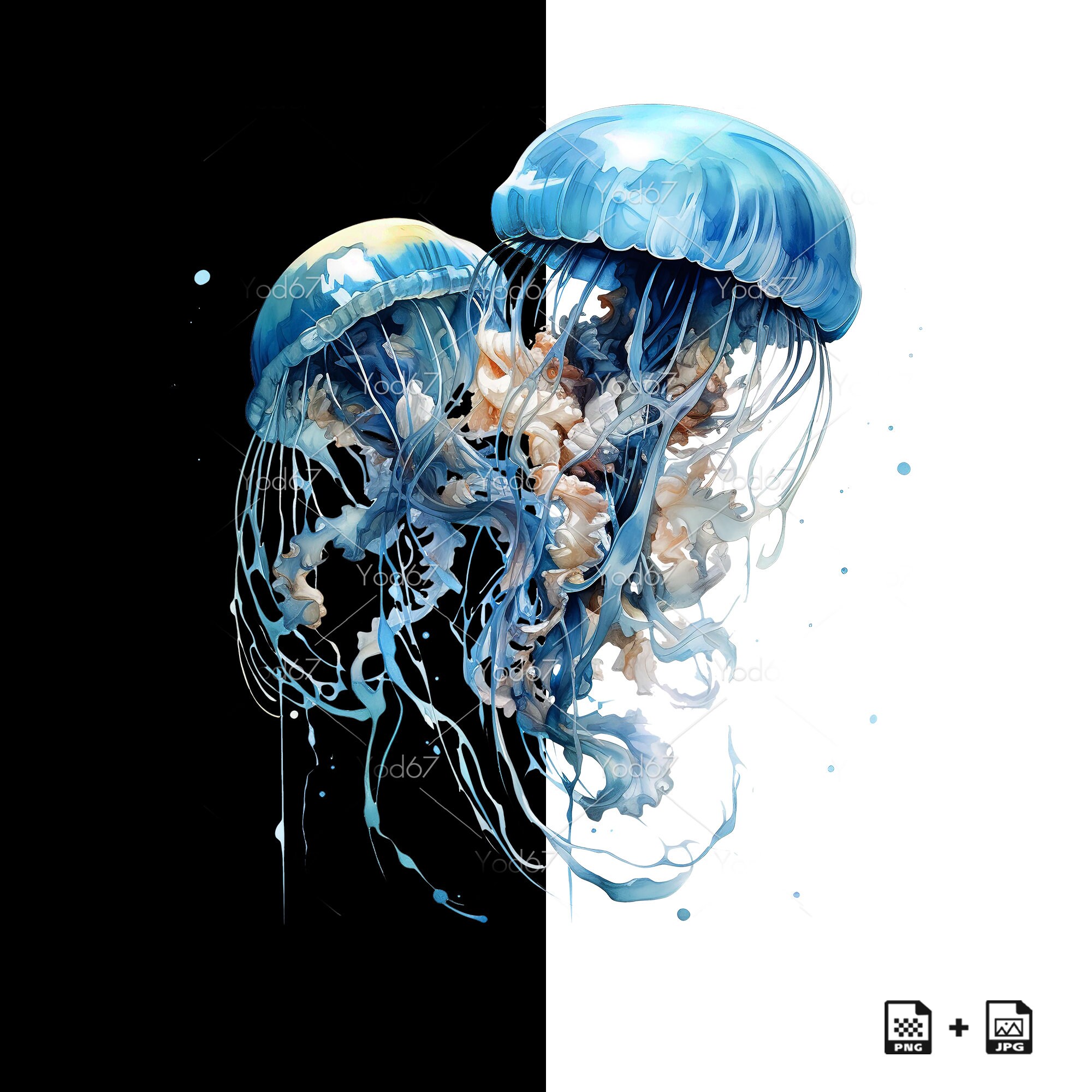 Jellyfish Clipart, Jellyfish Png for Sublimation Printing, Jellyfish T ...