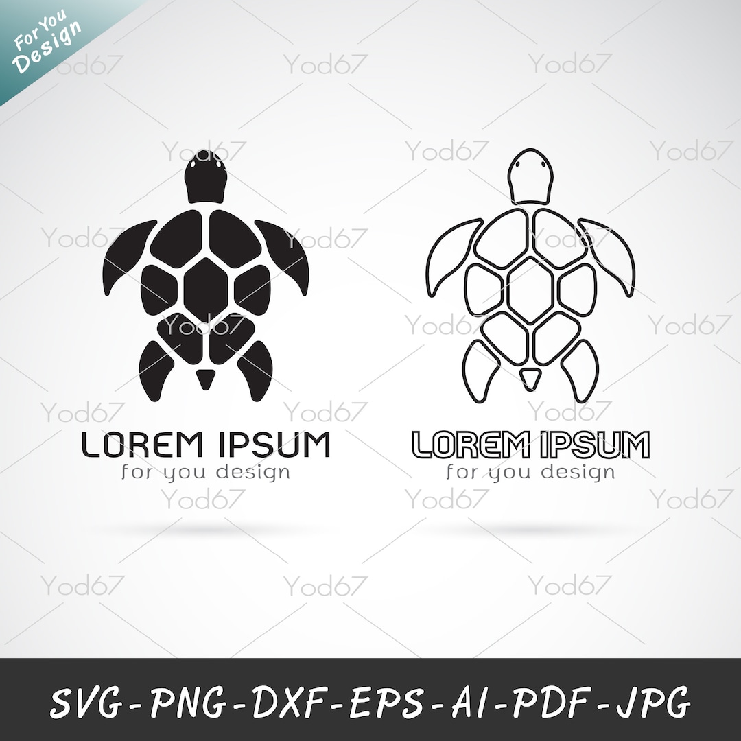 Turtle SVG, Sea Turtle Svg, Turtle Png, Cut File Turtle for Cricut ...