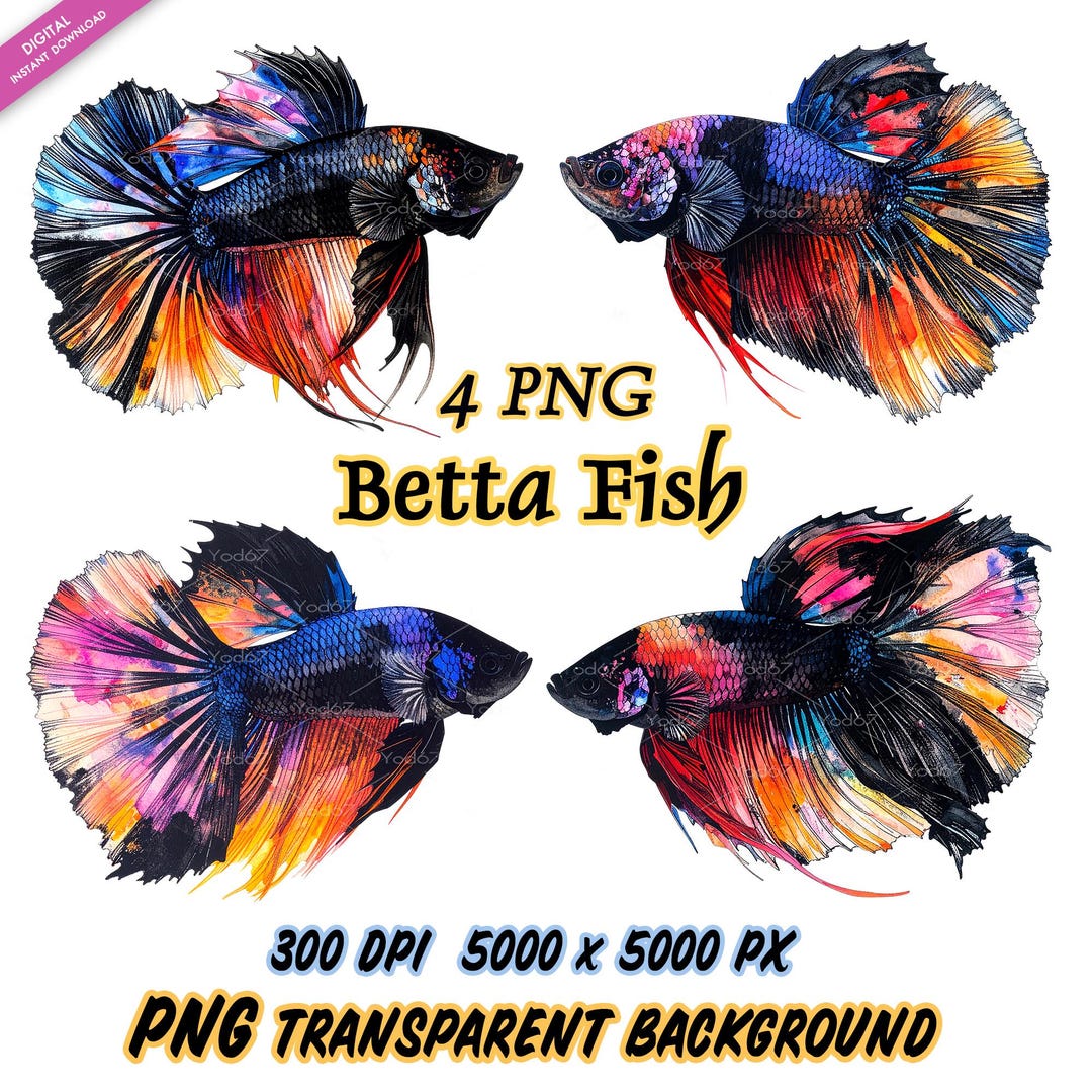 Betta Fish PNG, Siamese Fighting Fish Clipart, Colorful Watercolor ...