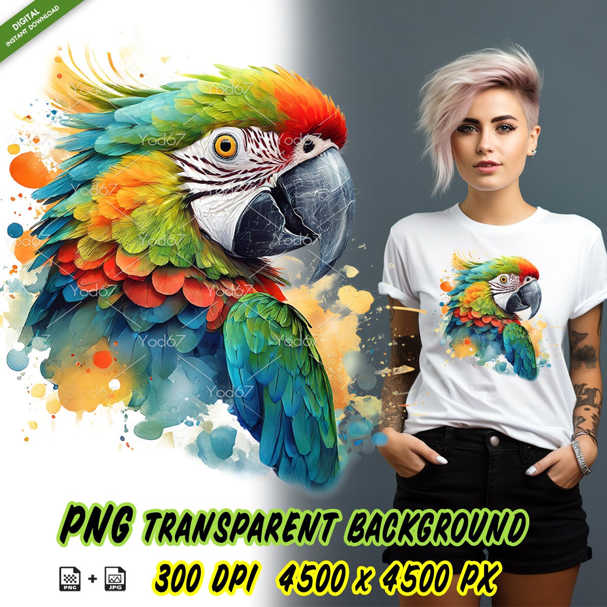 Macaw Parrot PNG, Parrot Png, Bird Png for Sublimation Printing, Macaw ...