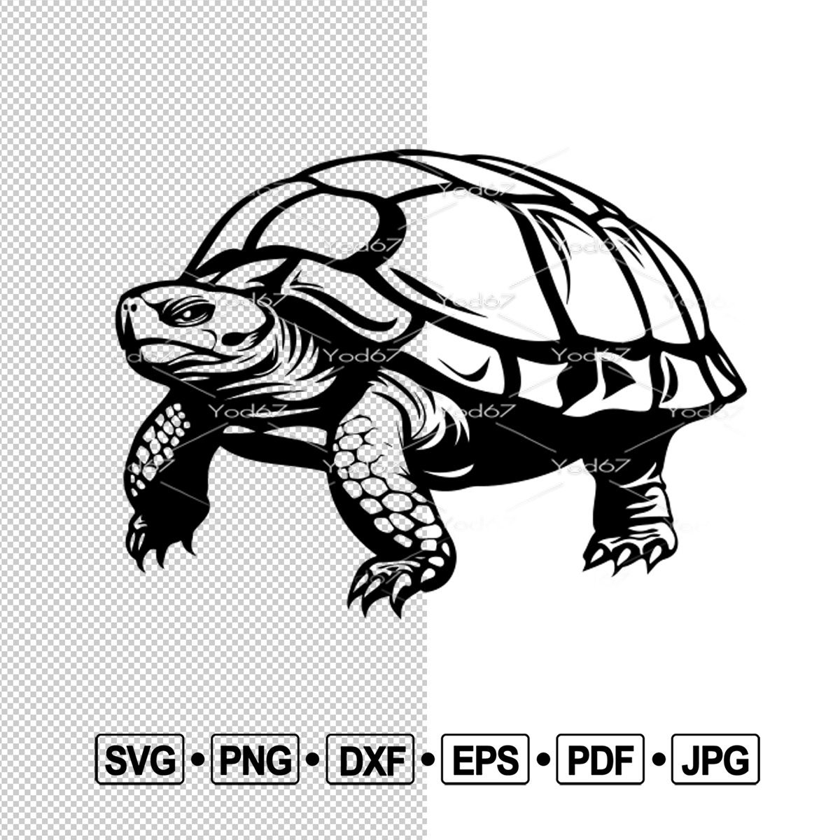 Land Turtle SVG, Turtle Vector Clipart Design, Land Turtle Png, Svg ...