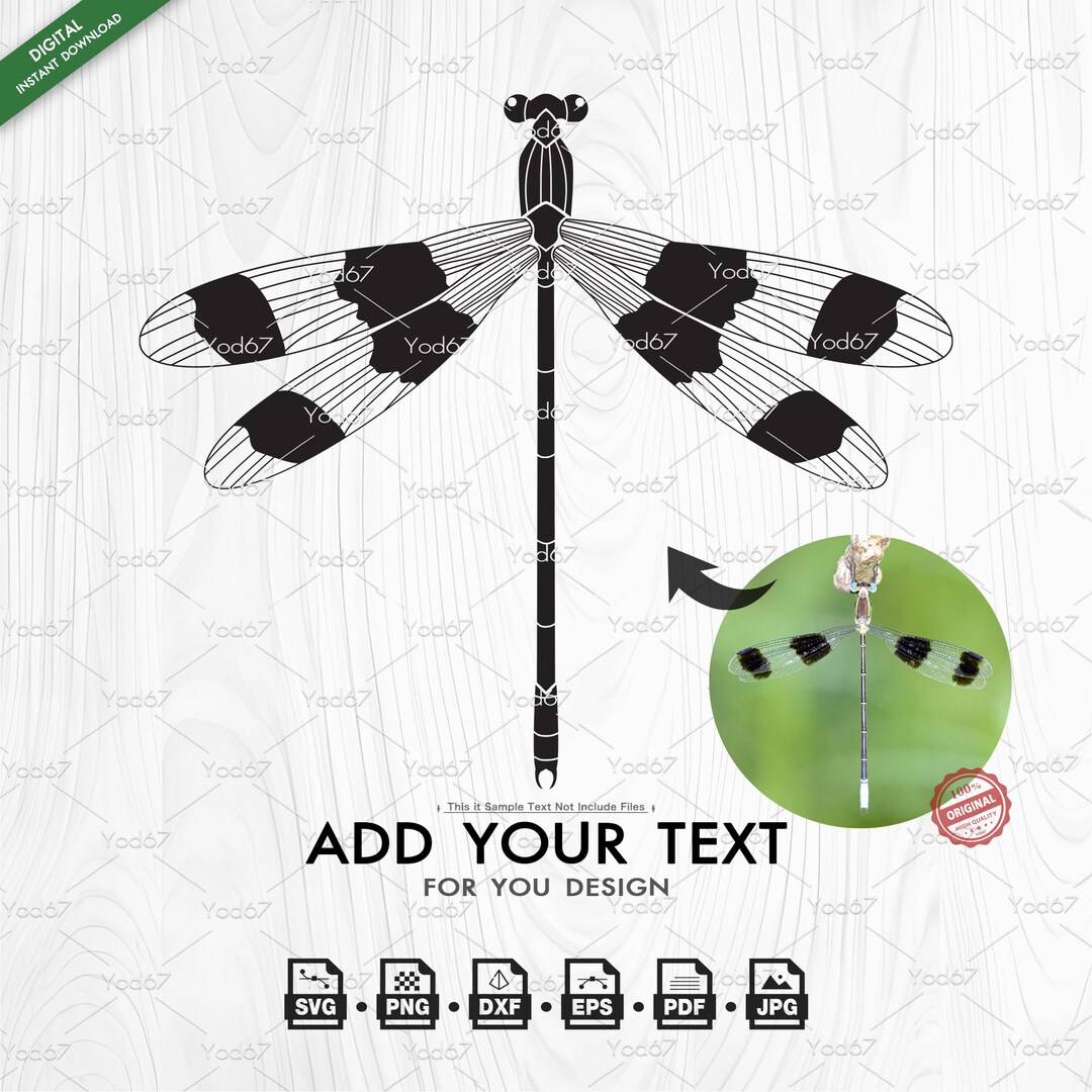Dragonfly SVG, Dragonflies Png, Cut File Dragonfly for Cricut ...