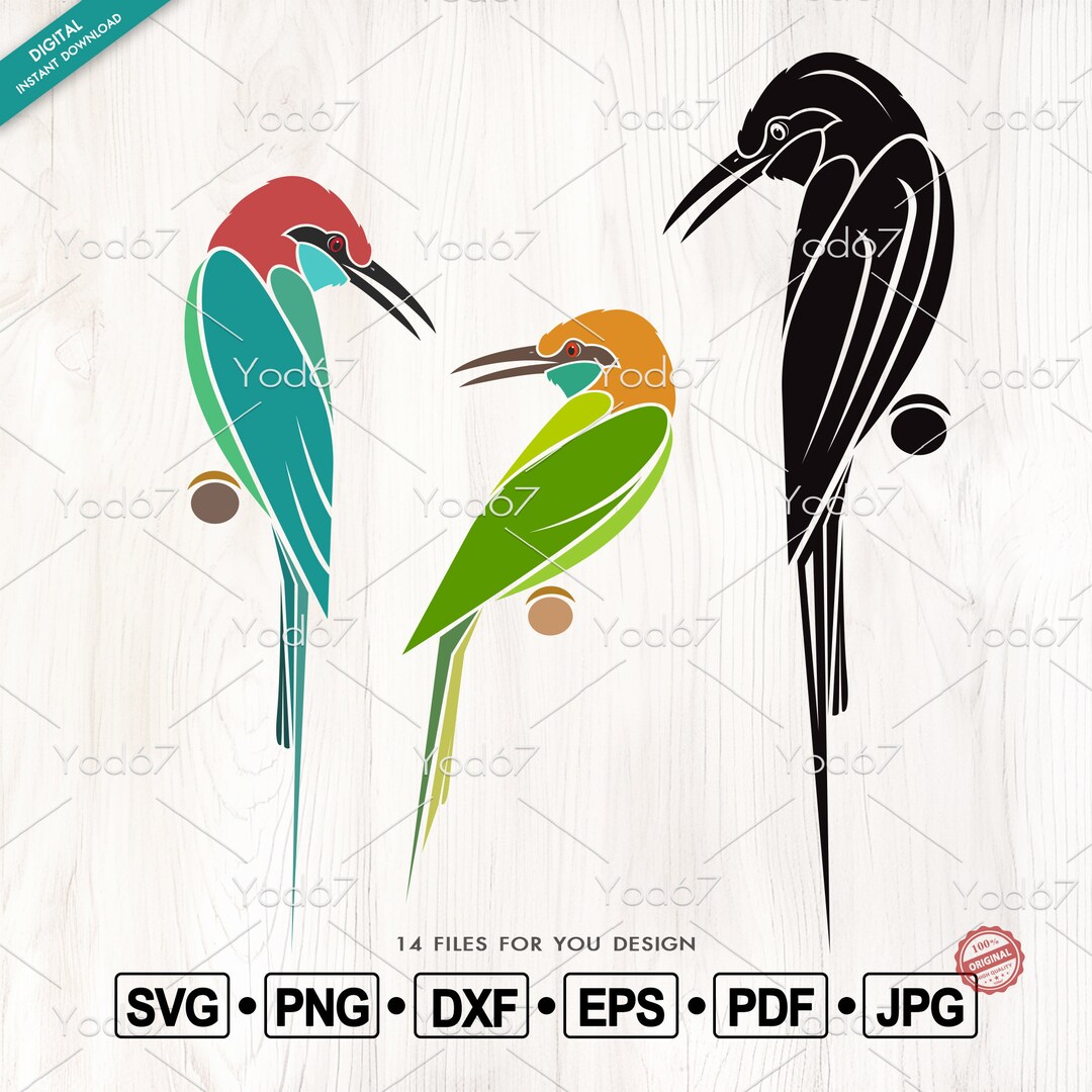 Bee-eater SVG, Bee Eater Bird Png, Cut File Bee-eater for Cricut, Bee ...