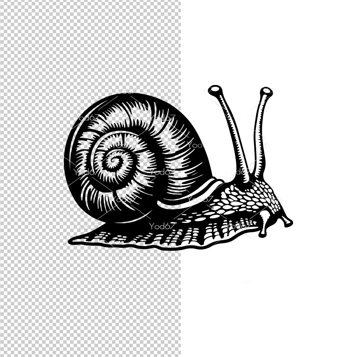 Snail SVG, Snail Vector Clipart Design Eps Png Dxf Pdf, Snail Cricut ...