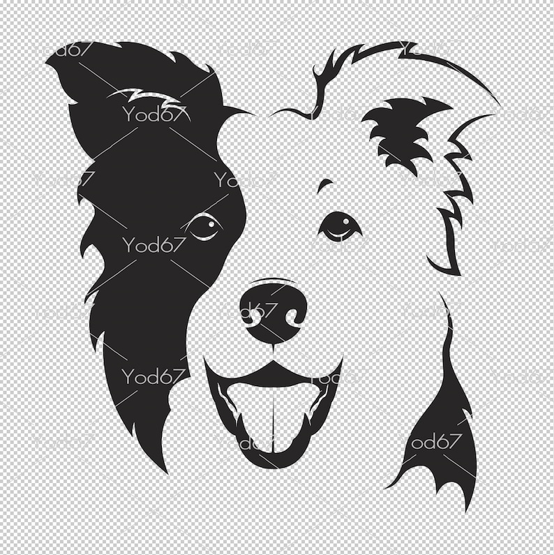 Border Collie SVG, Dog Svg, Border Collie Png, Dog Png, Svg Files for ...