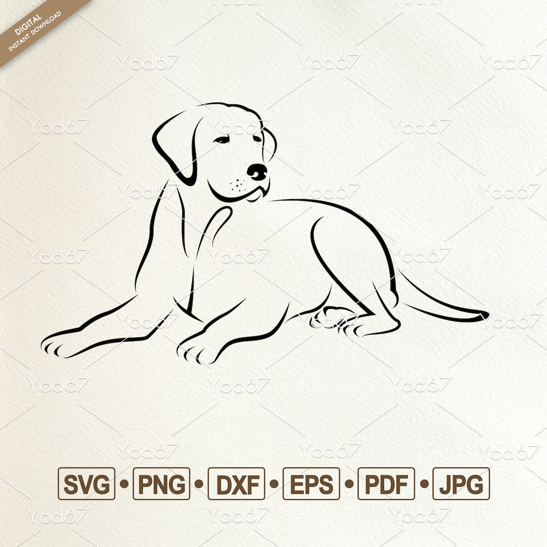 Labrador Svg, Labrador Crouching Svg, Labrador Retriever Clipart ...
