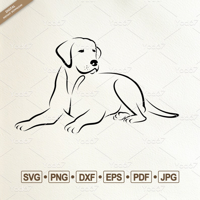 Labrador Svg, Labrador Crouching Svg, Labrador Retriever Clipart ...