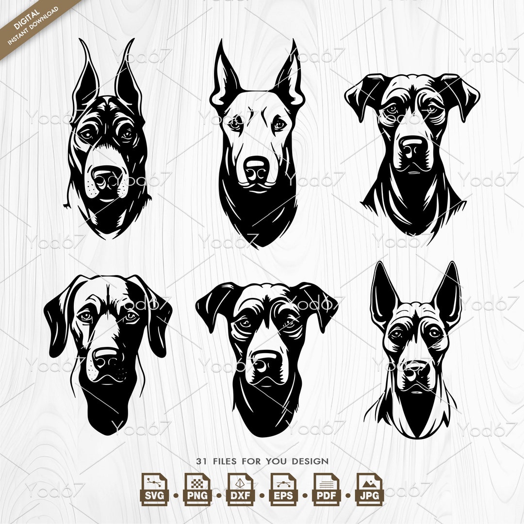 Great Dane Svg & Png, Cut File Great Dane for Cricut, Great Dane ...
