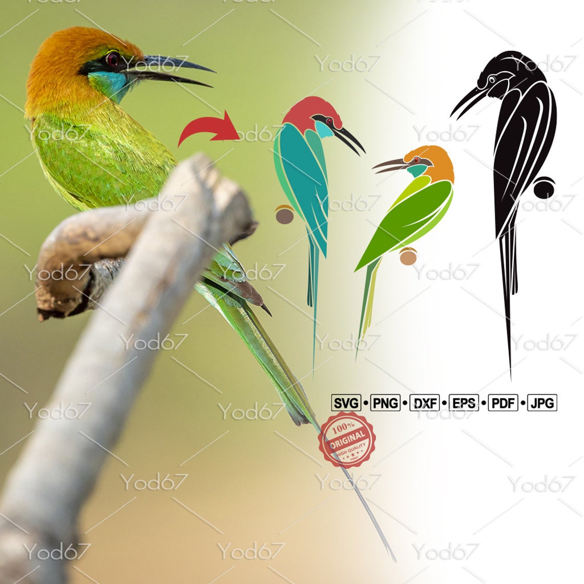 Bee-eater SVG, Bee Eater Bird Png, Cut File Bee-eater for Cricut, Bee ...