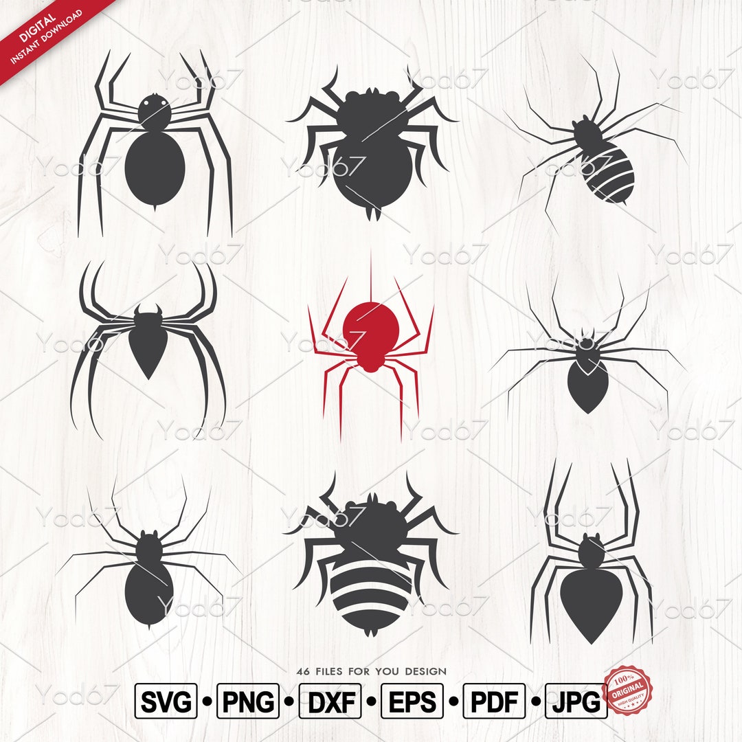 Spider SVG Bundle, Spider Vector Clipart Design Eps, Spider Png, Cut ...