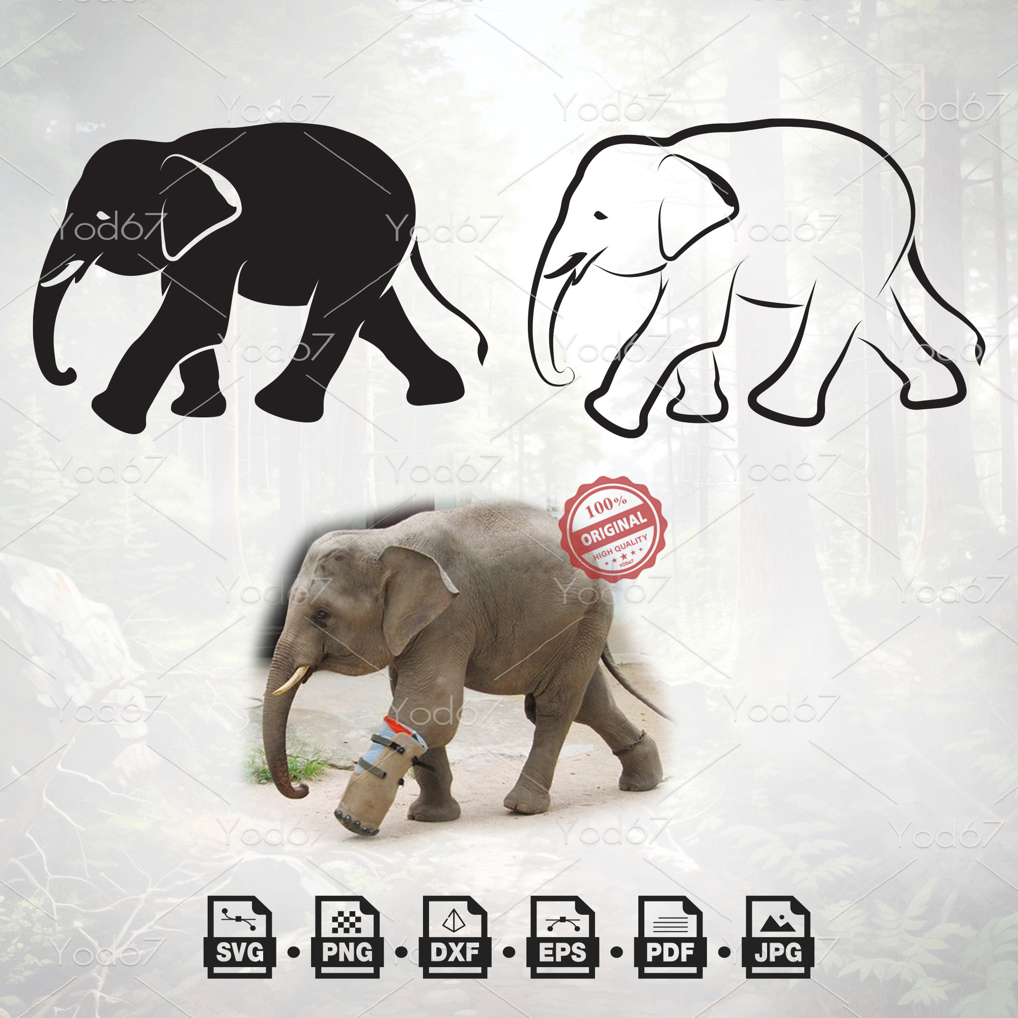 Elephant SVG, Elephant Png, Cut File Elephant for Cricut, Elephant ...