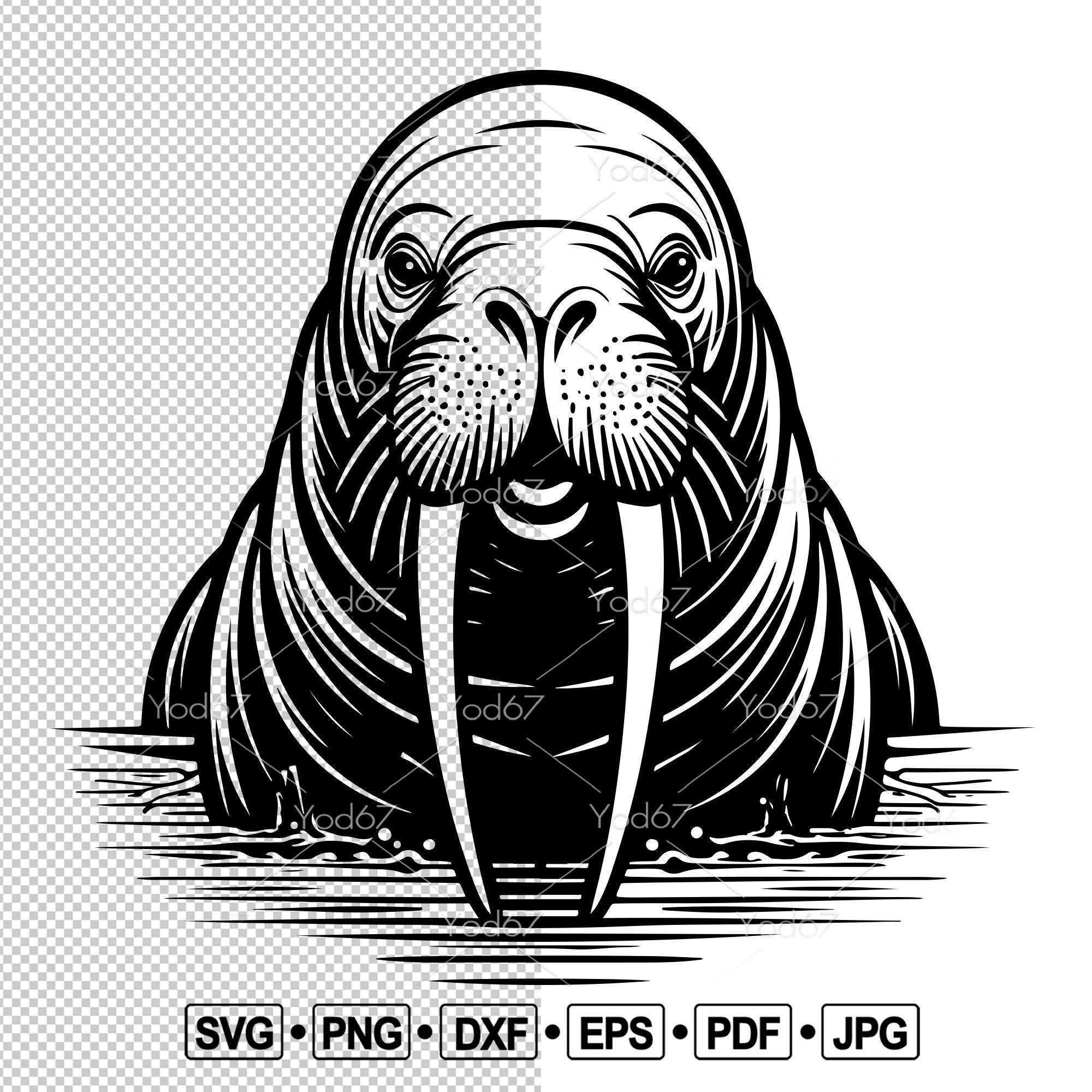 Walrus Vector Clipart Design SVG PNG EPS Dxf Pdf, Svg Cut File for ...