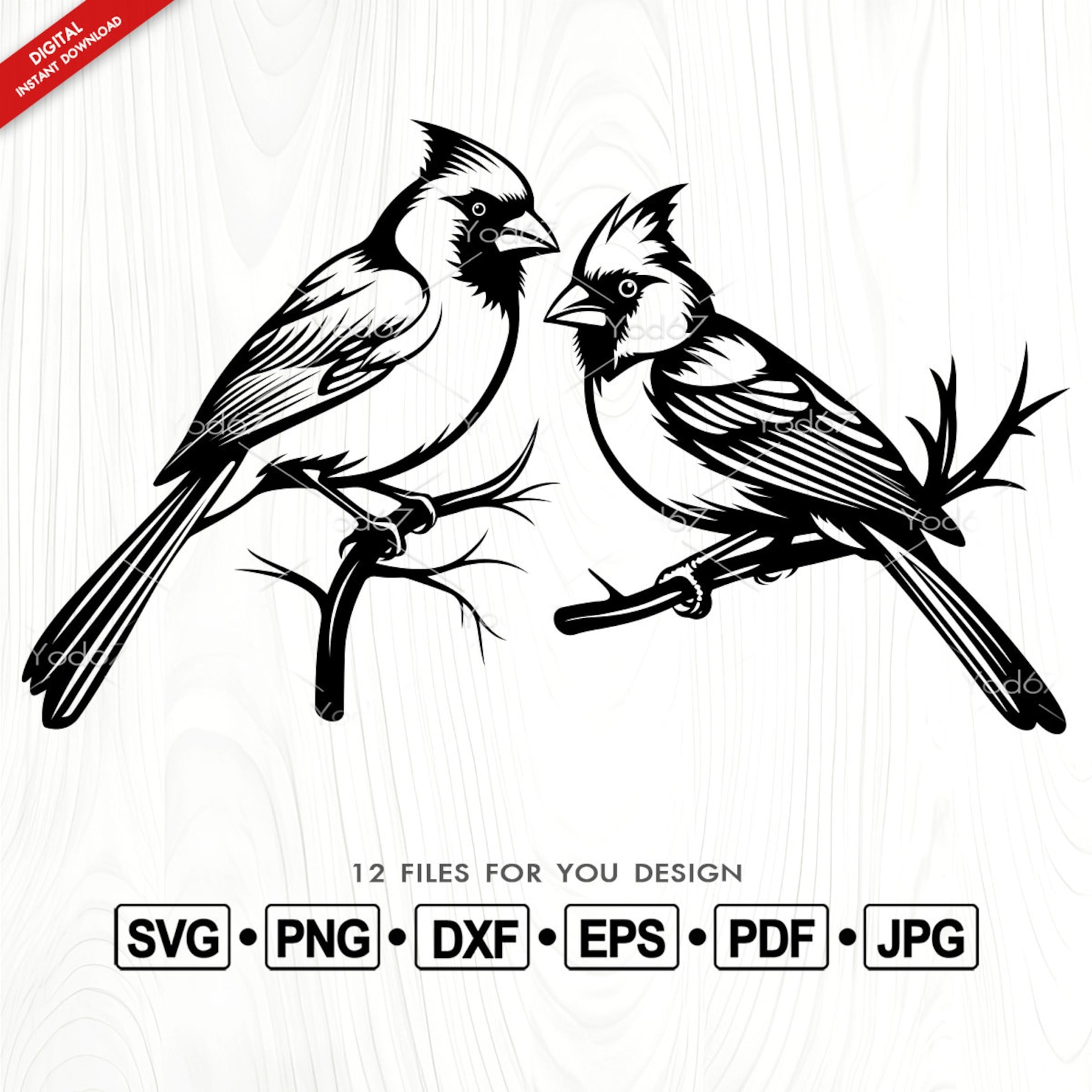 Northern Cardinal SVG, Cardinal Bird Design, Cvg Files for Cricut ...