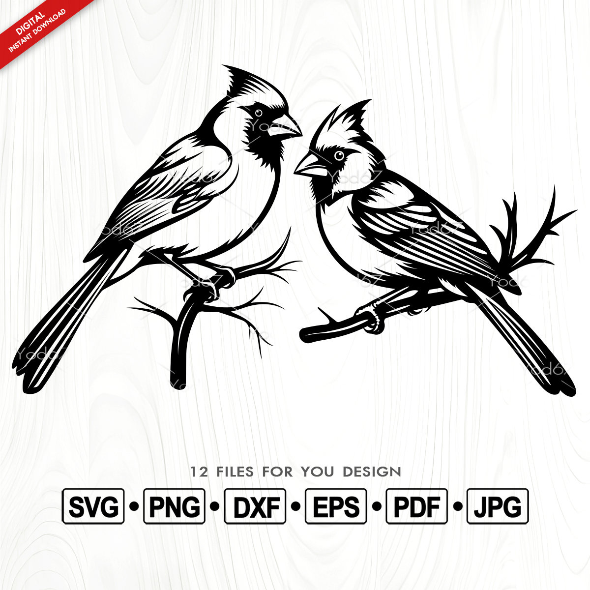 Northern Cardinal SVG, Cardinal Bird Design, Cvg Files for Cricut ...