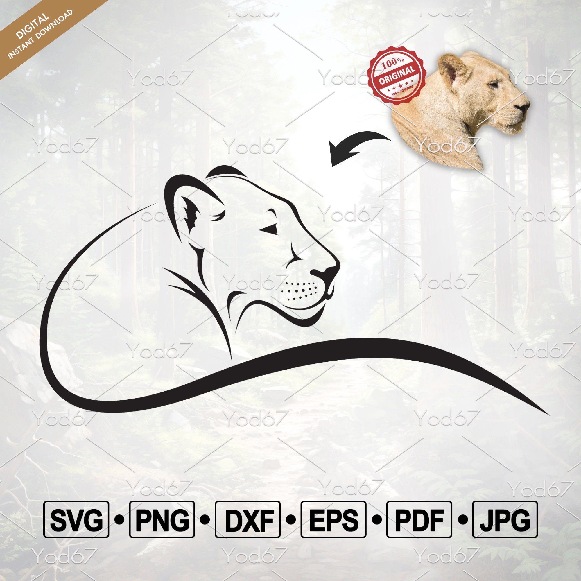 Lion SVG, Lion Png, Cut File Lion for Cricut, Lion DXF, Animals Vector ...