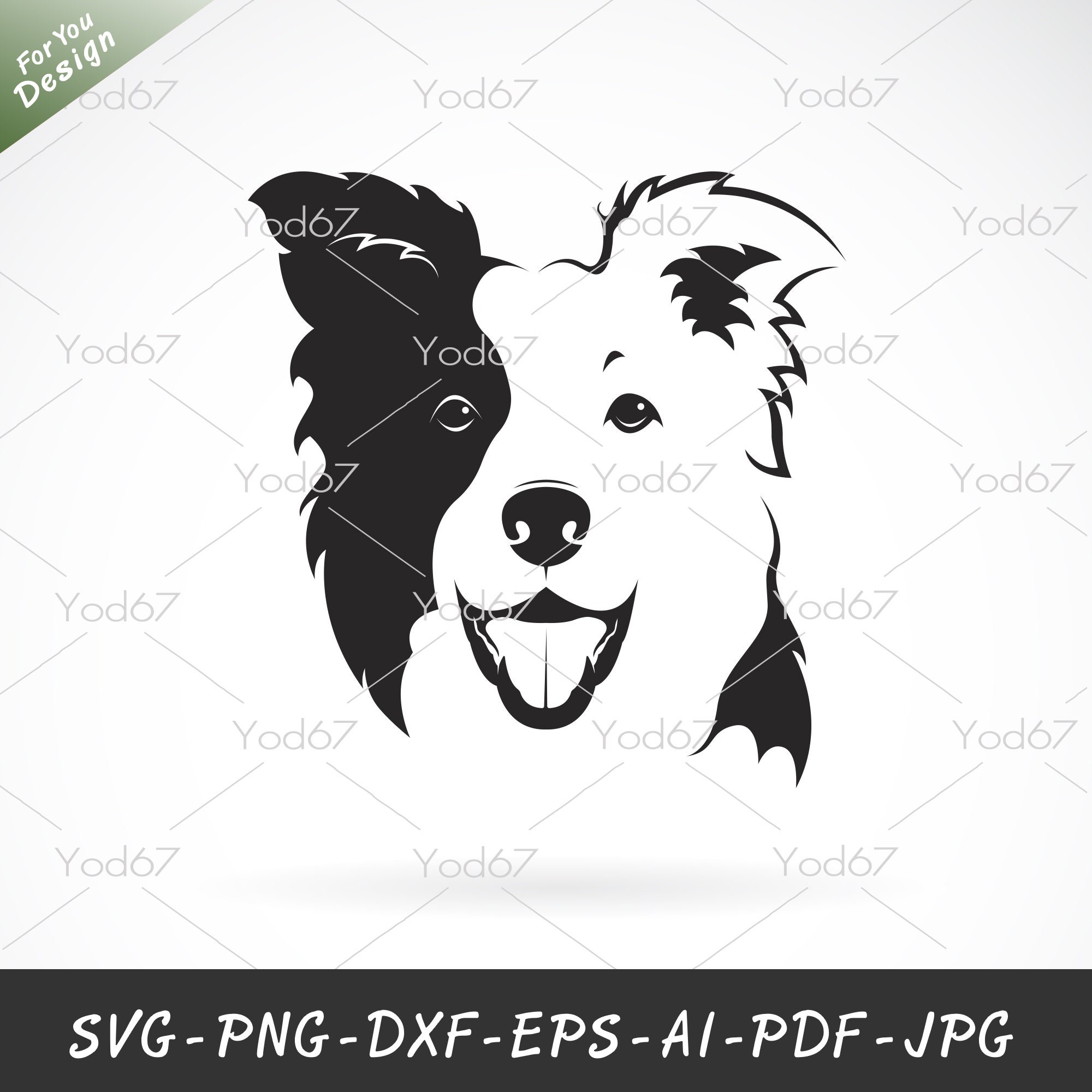 Border Collie SVG, Dog Svg, Border Collie Png, Dog Png, Svg Files for ...