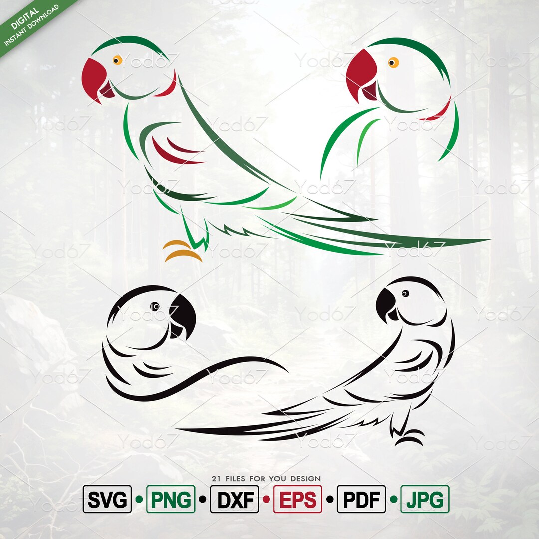 Alexandrine Parakeet Files SVG, PNG, DXF, Pdf, Eps, Jpg, Cut File ...