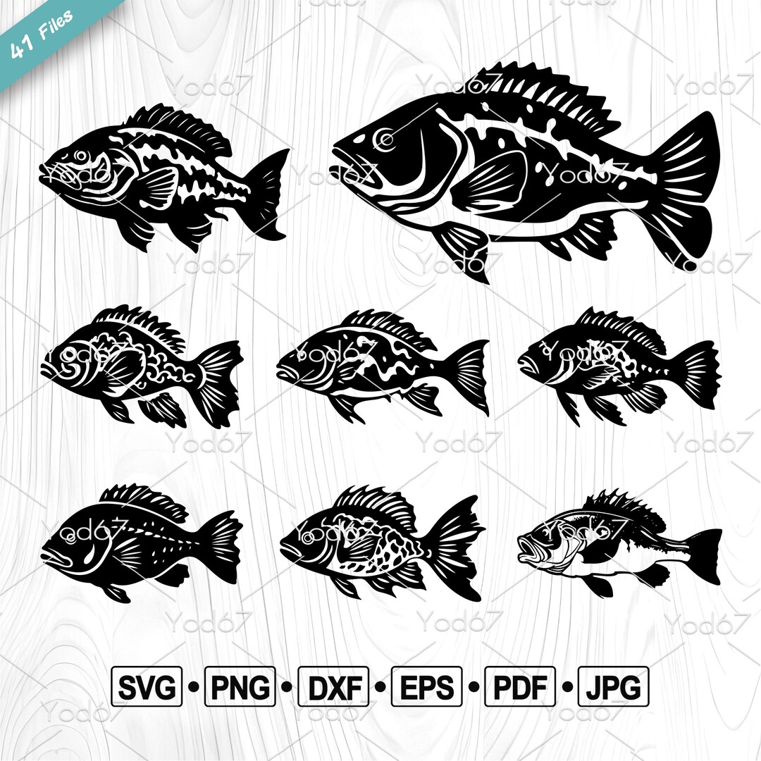 Grouper Svg, Grouper Png, Grouper Cricut, Fish Svg, Grouper DXF File ...
