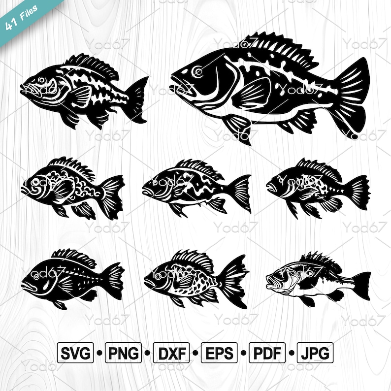 Grouper Svg, Grouper Png, Grouper Cricut, Fish Svg, Grouper DXF File ...