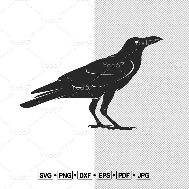 Crow SVG, Png, Dxf, Eps, Pdf, Jpg, Cut File Crow for Cricut, Crow ...