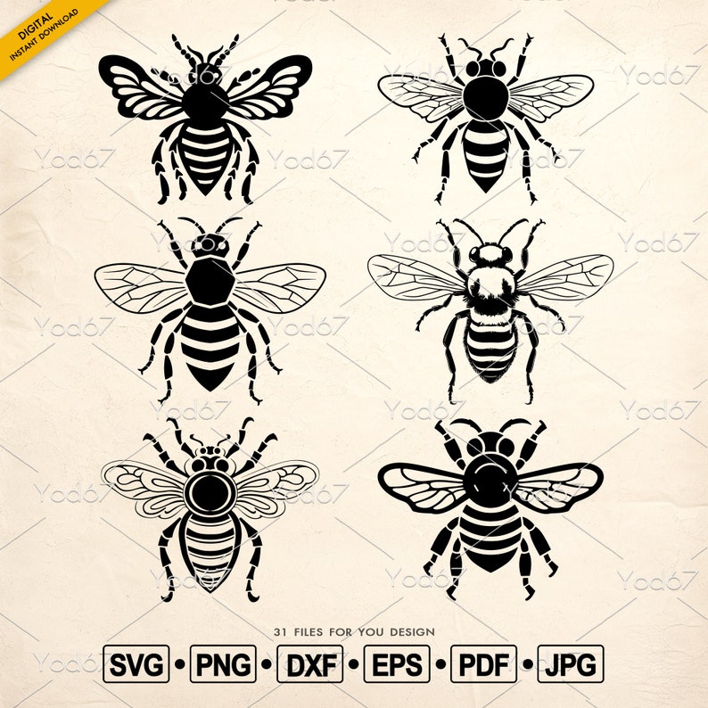Bee Svg Bundle, Bee PNG, Honey Bee Svg, Insect SVG, Bumble Bee Svg, Bee ...