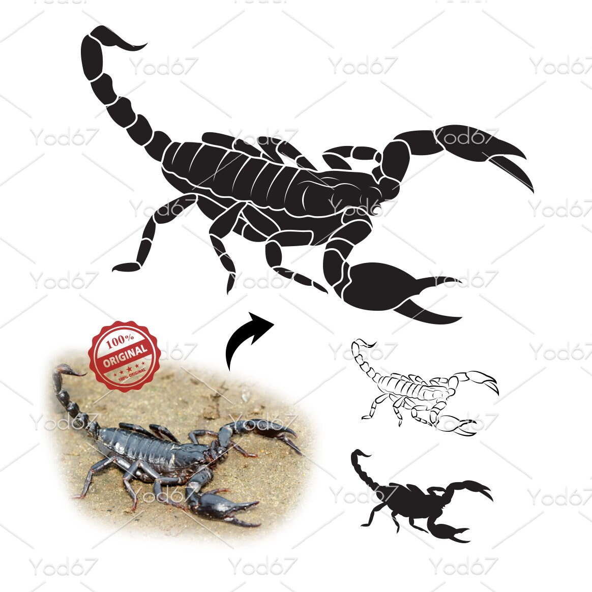 Scorpion Svg, Scorpion PNG, Scorpion Svg Cutting File for Cricut ...