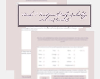 Vulnerability Worksheet - Etsy