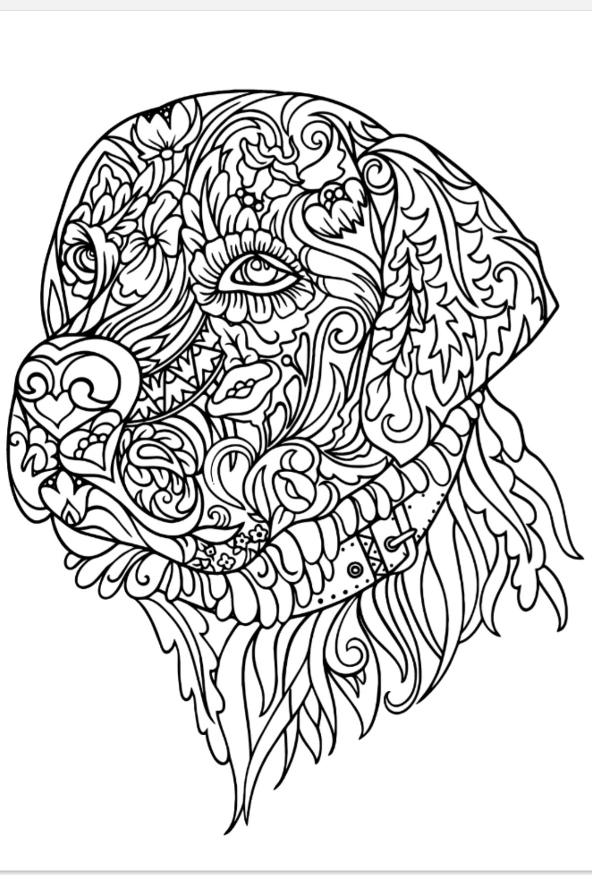 Mandela Animal Adult Coloring Pages - Etsy