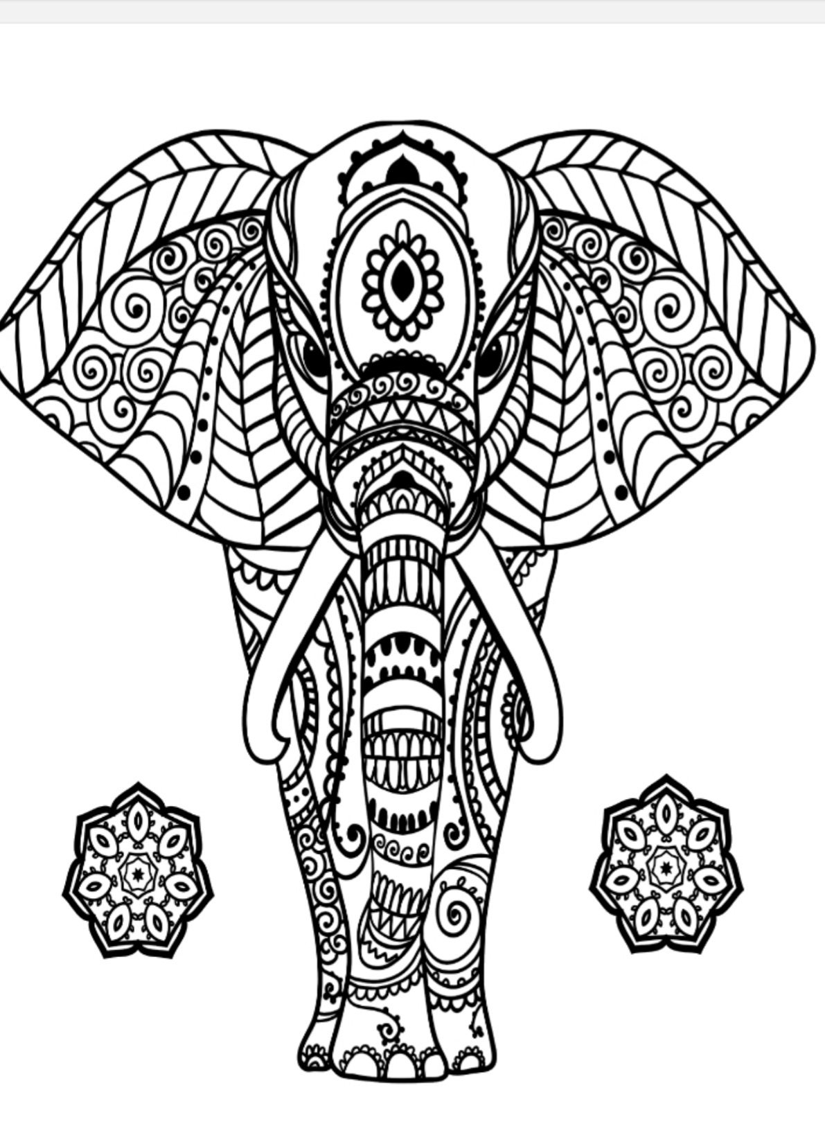 Mandela Animal Adult Coloring Pages - Etsy