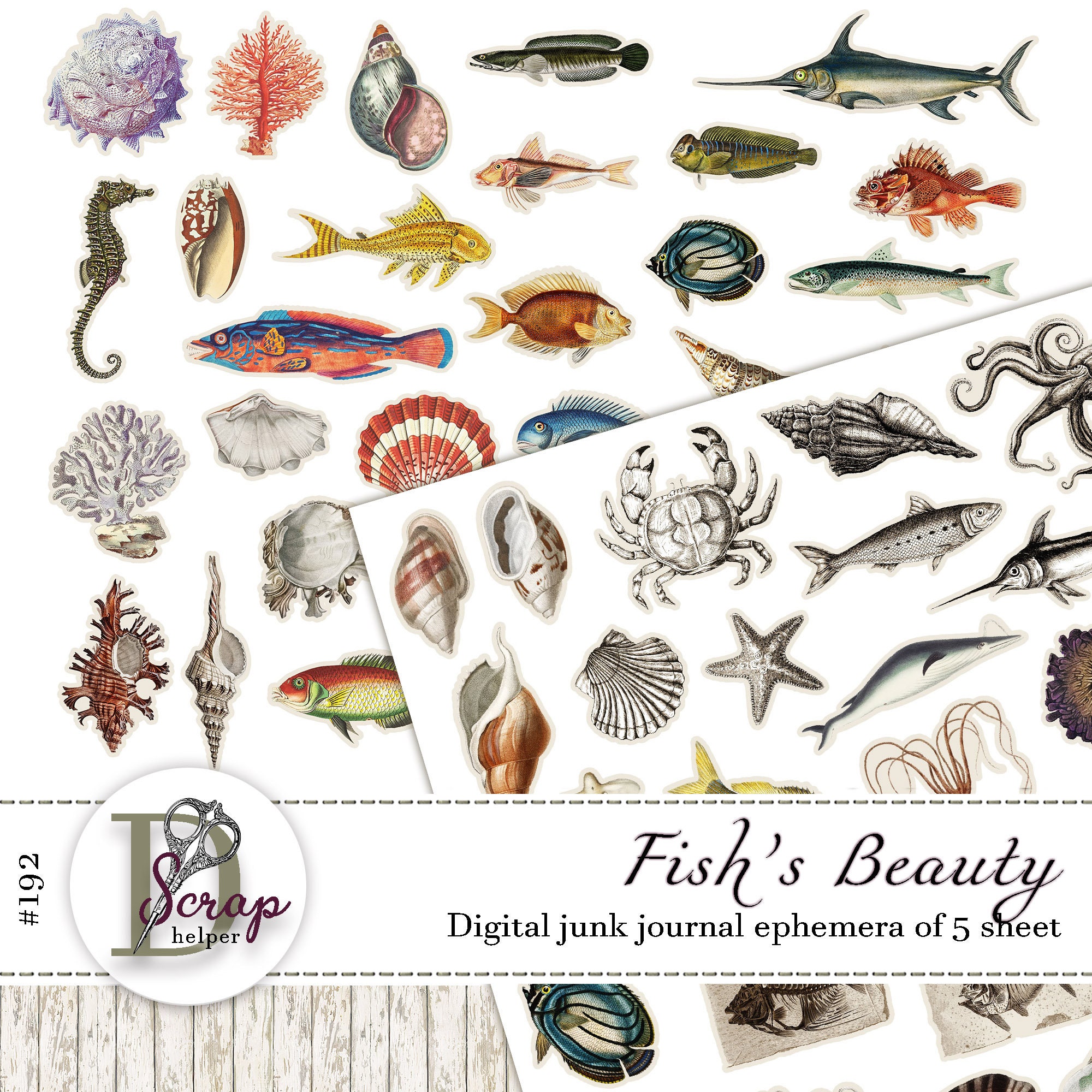 Nautical Ephemera Fish Fussy Cut of 5 Sheets Ocean Sea Beach - Etsy