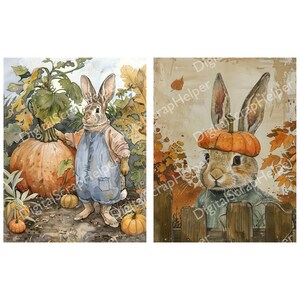 Thanksgiving Peter Rabbit Junk Journal Paper Printable 12 Sheets ...