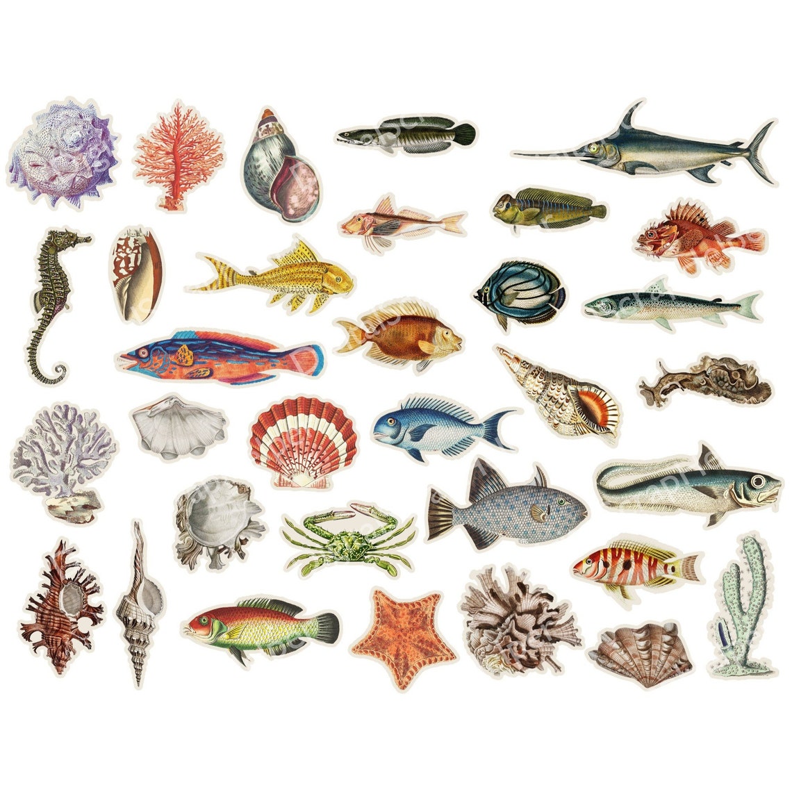 Nautical Ephemera Fish Fussy Cut of 5 Sheets Ocean Sea Beach - Etsy
