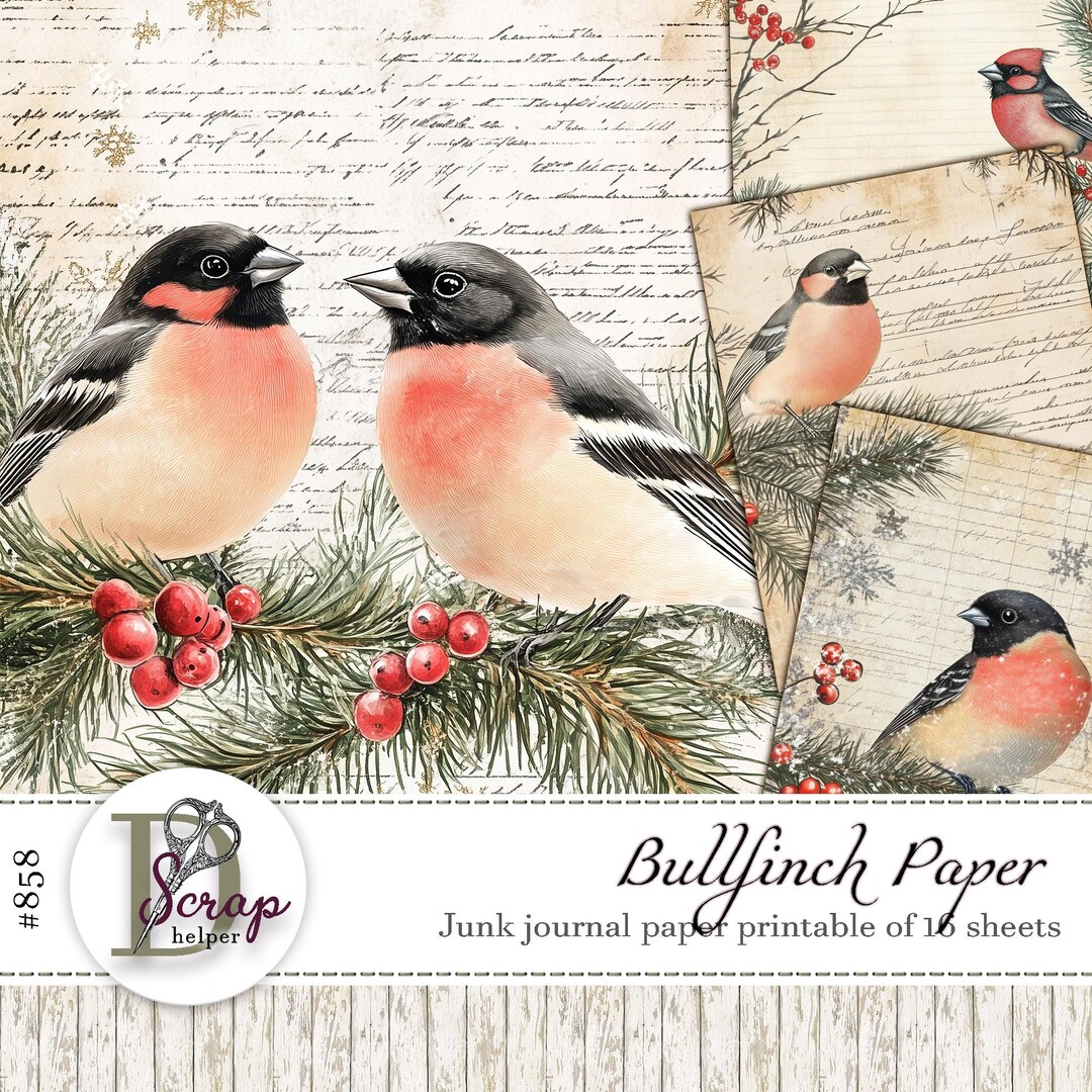 Christmas Bullfinch Paper Printable of 16 Sheets Winter Birds Christmas ...