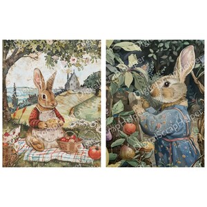 Summer Peter Rabbit Junk Journal Paper Printable 12 Sheets Scrappy ...